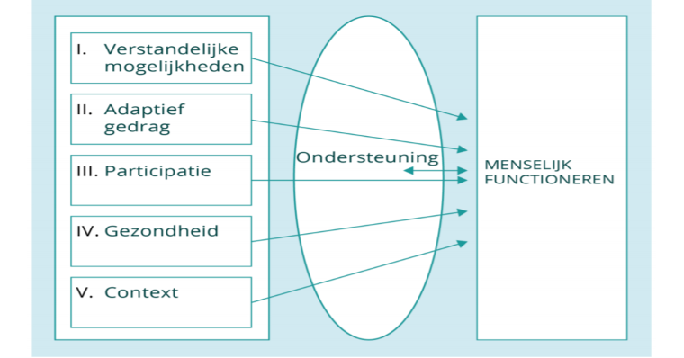 2. Het fundament van inclusie - Inclusie voor iedereen