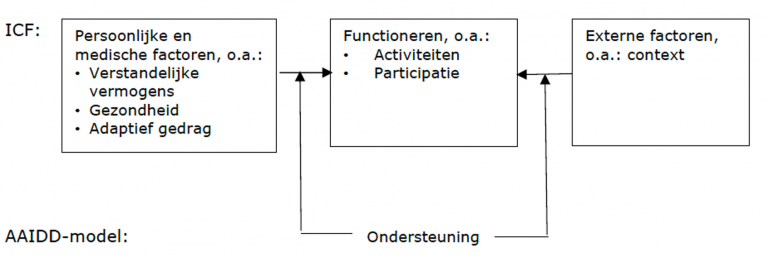 2. Het fundament van inclusie - Inclusie voor iedereen